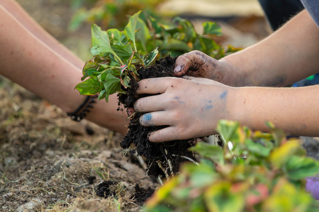 Outdoor Learning: Connecting Children with the Environment